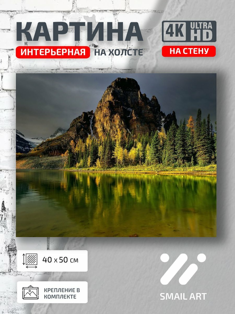 Картина на холсте интерьерная 40 на 50 на стену Деревья Landscape для кафе пейзаж интерьер