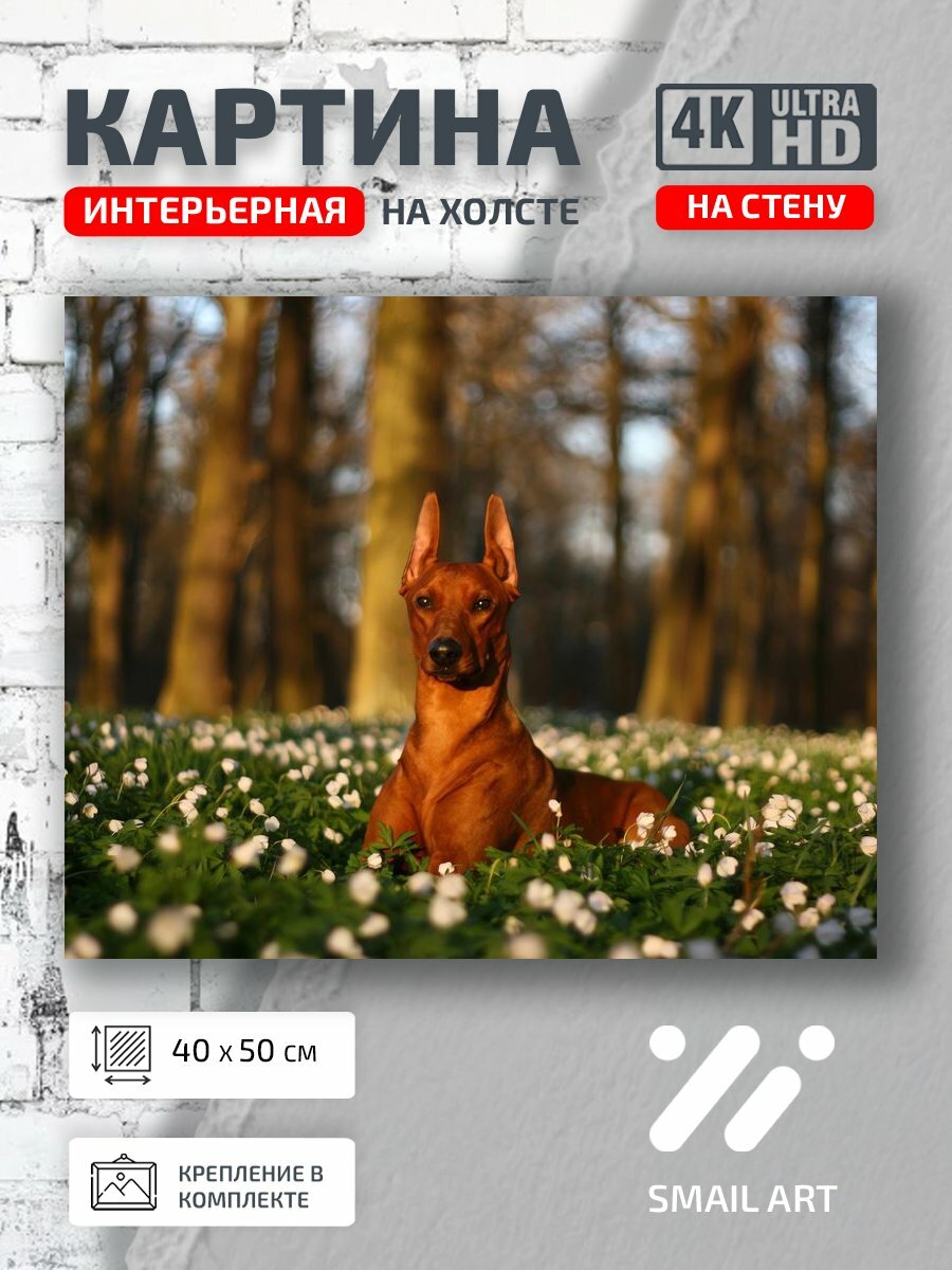 Картина на холсте интерьерная 40 на 50 на стену Подснежниках Mood для гостиной атмосфера