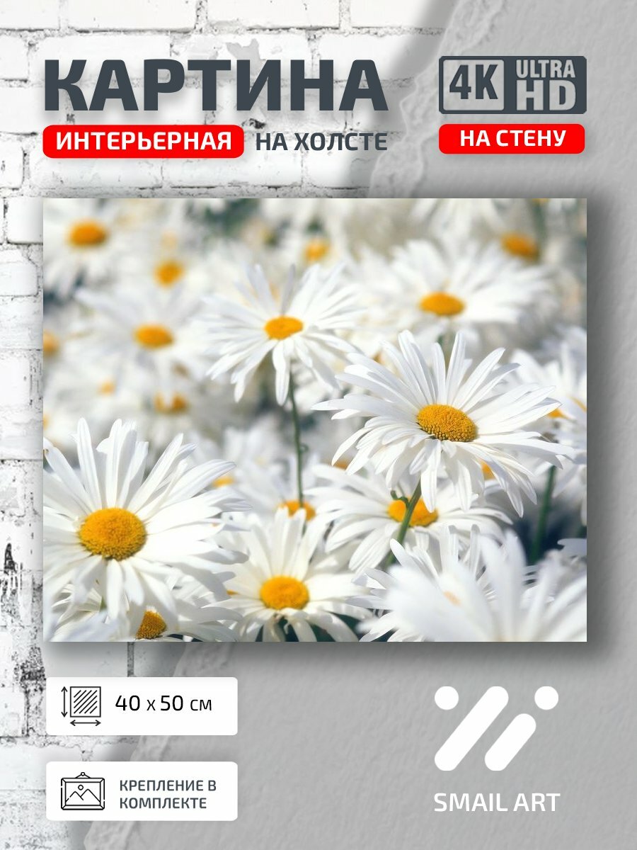 Картина на холсте интерьерная 40 на 50 на стену Весна Landscape для кафе пейзаж интерьер