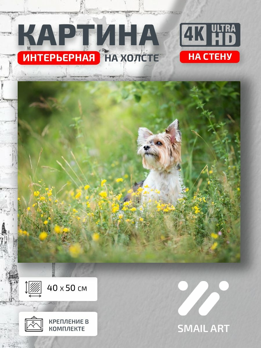 Картина на холсте интерьерная 40 на 50 на стену Трава Mood для гостиной атмосфера интерьер