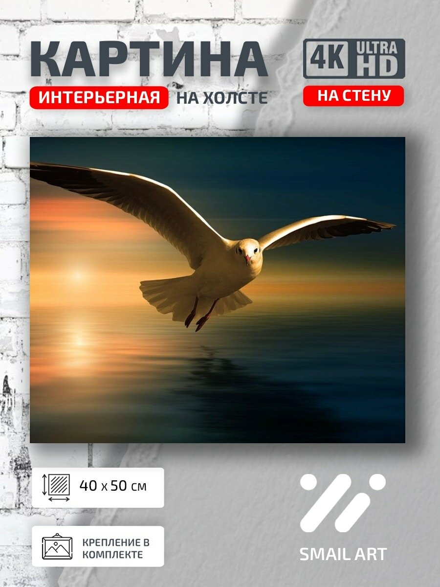 Картина на холсте интерьерная 40 на 50 на стену Белые Птицы для офиса атмосфера