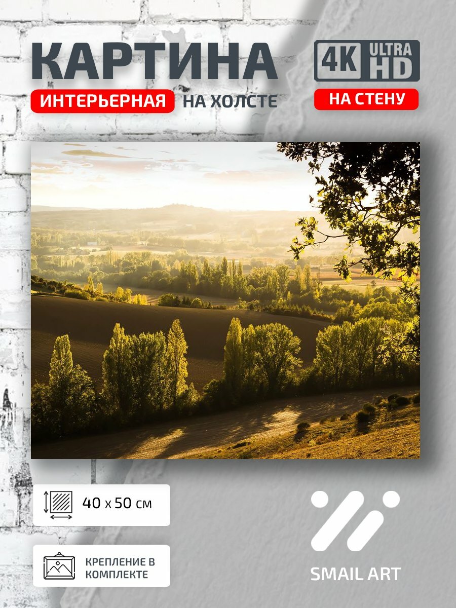 Картина на холсте интерьерная 40 на 50 на стену Деревья Landscape для кабинета пейзаж декор