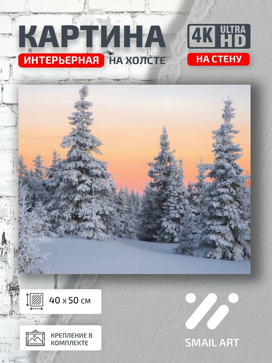 Картина на холсте интерьерная 40 на 50 на стену Пейзаж ели для гостиной атмосфера