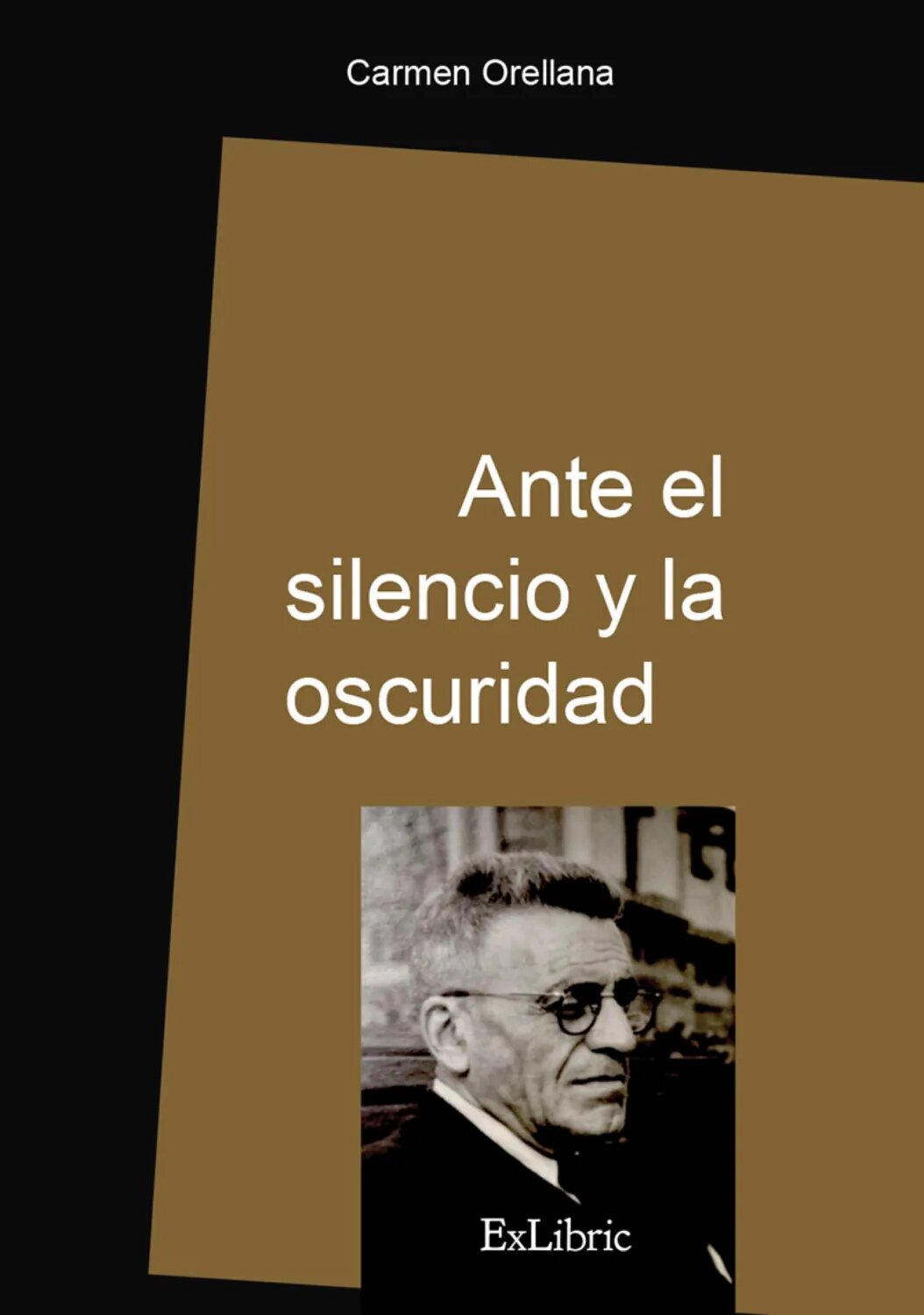 Ante el silencio y la oscuridad [Цифровая книга]