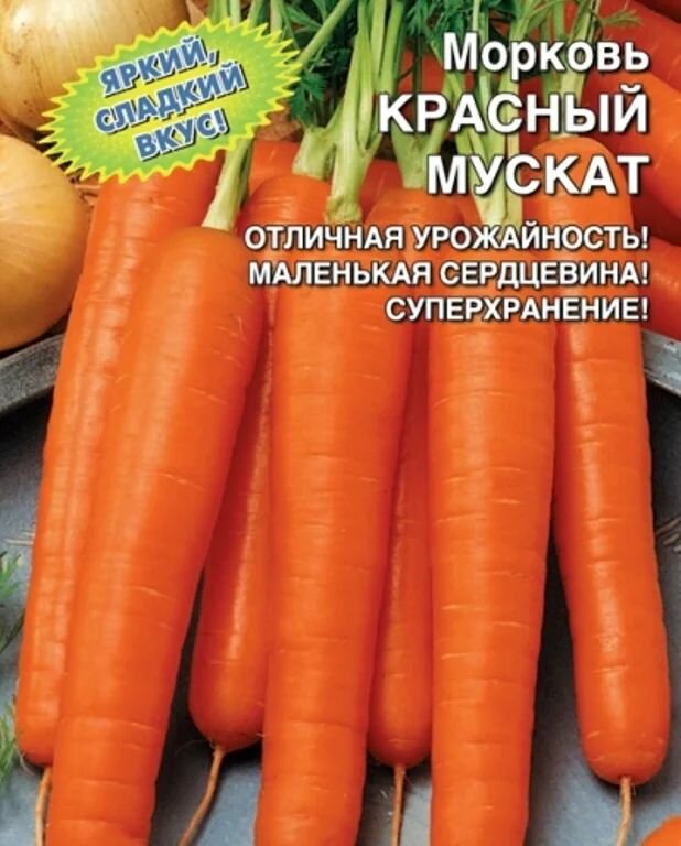 Коллекционные семена моркови Красный Мускат