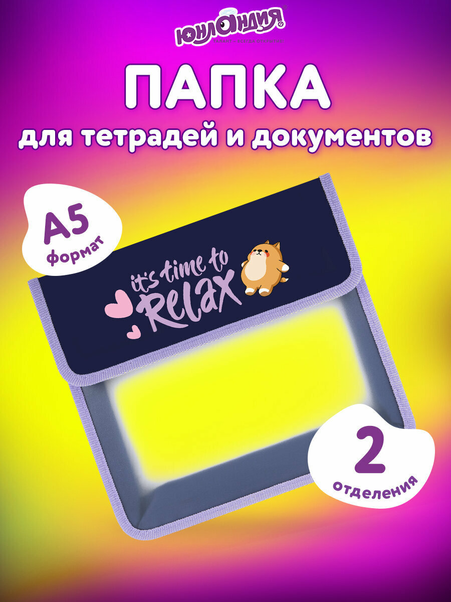 Папка для тетрадей, труда и документов А5 для девочки на липучке, канцелярия для школы, 2 отделения, пластик, Юнландия Bored cat, 272189