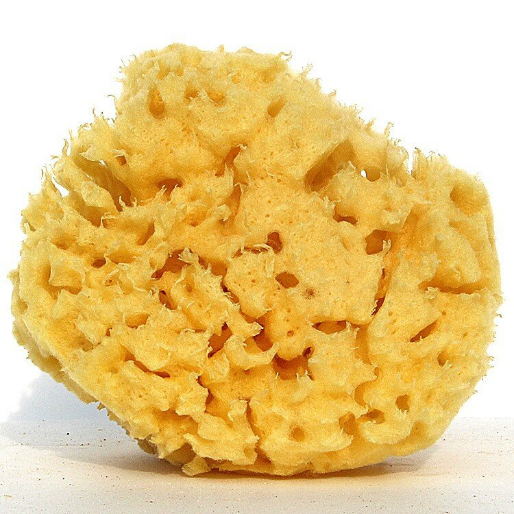 Натуральная греческая губка для умывания в виде сот, мягкая, удобная, впитывающая губка для ванны для взрослых