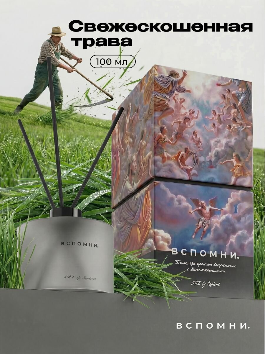 Вспомни Диффузор для дома с палочками парфюмированный, 100 мл Свежескошенная трава