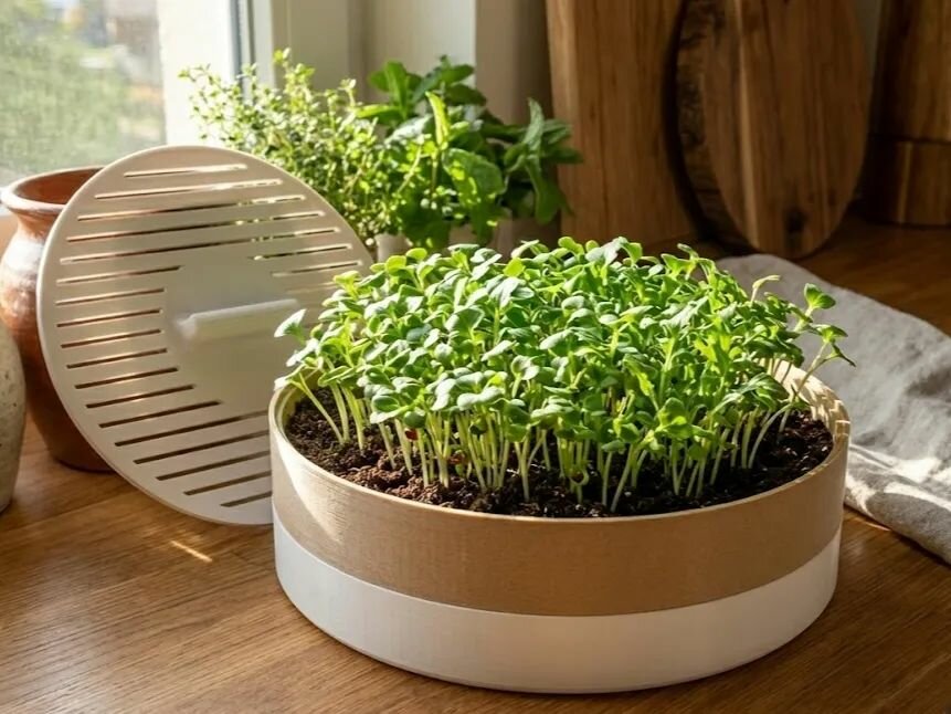 Модульная кухонная Микрозеленая сеялка