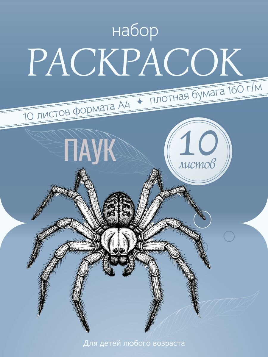 Набор детских раскрасок "Паук", плотная бумага формата А4, 10 шт, от 1 года