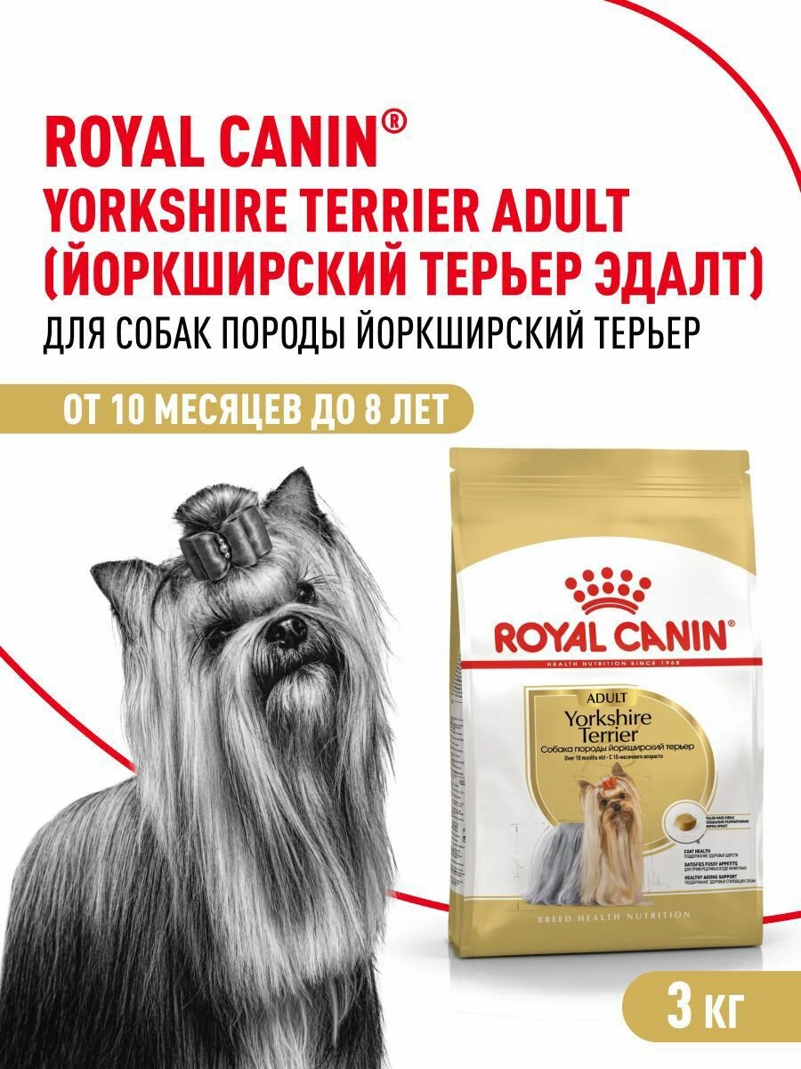 Сухой корм для собак Royal Canin Adult породы йоркширский терьер, 3 кг
