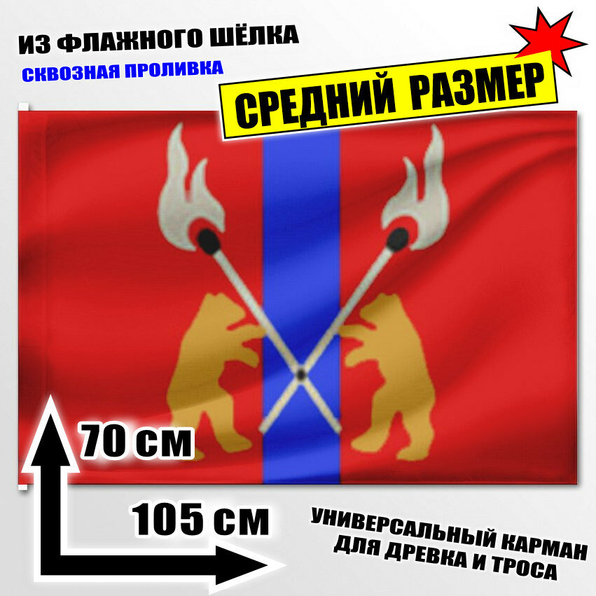 Флаг средний Чудовского района 105x70 см