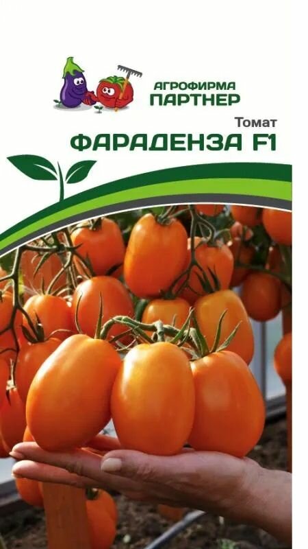 Томат Фараденза F1 семена Партнер (1 упаковка-10 шт семян)