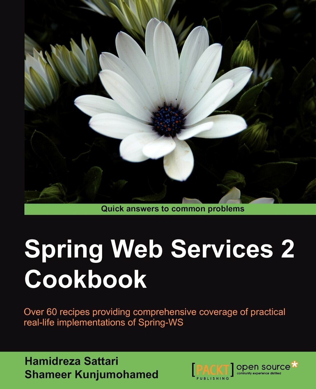 Spring Web Services Cookbook — фото 1