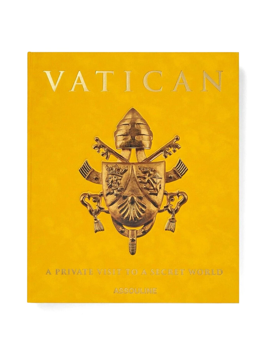 Книга Vatican: A Private Visit to a Secret World