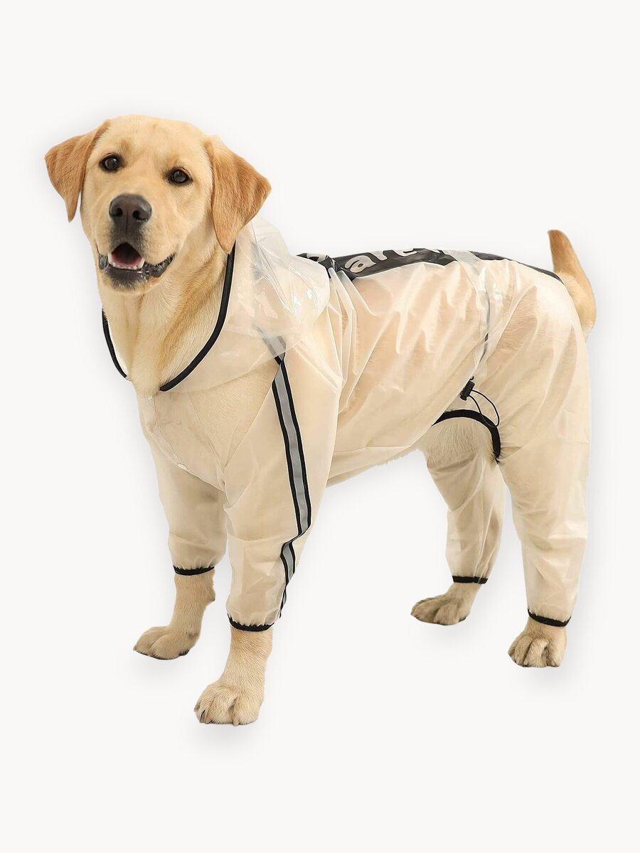 Дождевик для собаки крупной породы, дождевик для собаки средних пород