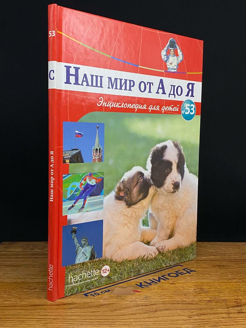 Книга. Наш мир от А до Я. Энциклопедия для детей. Выпуск №53 2013 (2043777330978)