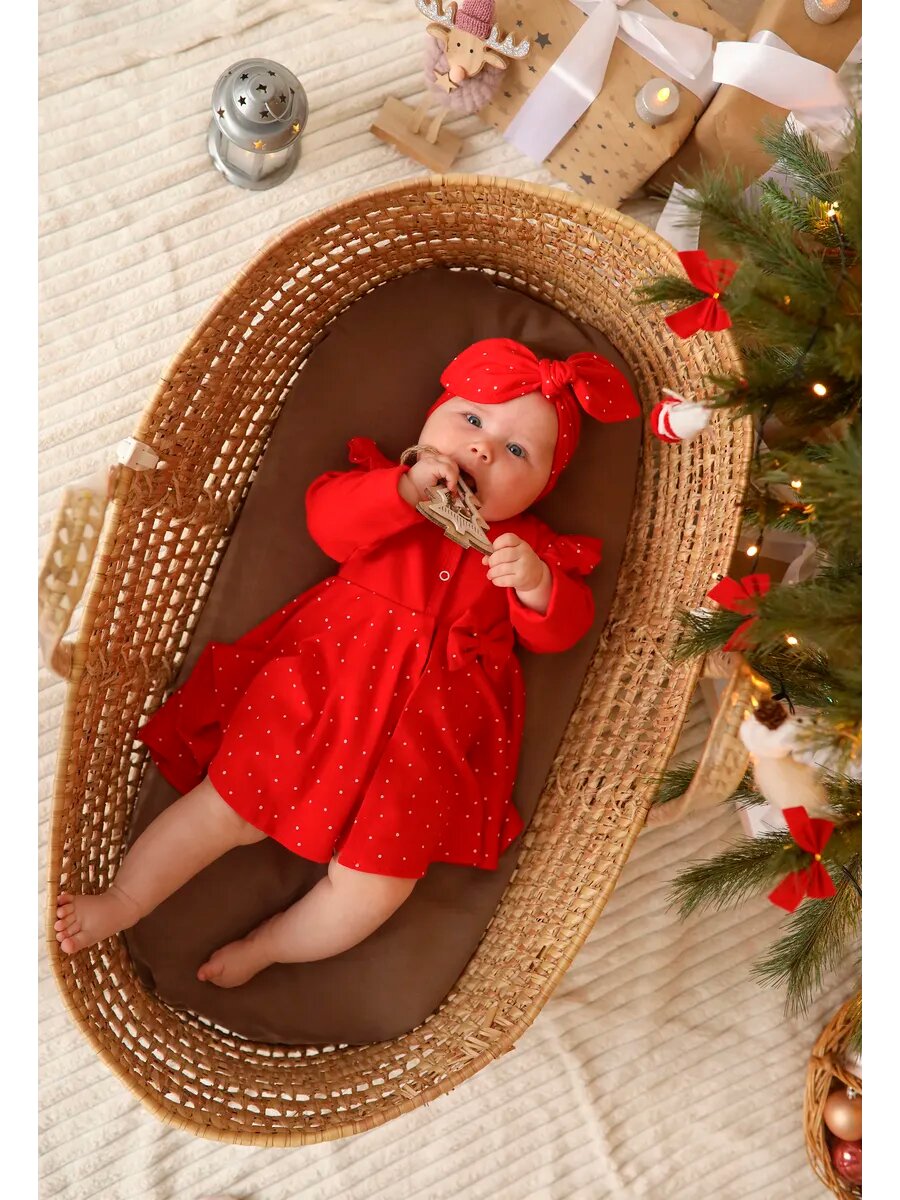 Боди Базовая коллекция