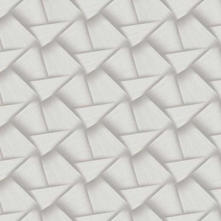 Обои виниловые на флизелине Erismann (Эрисманн) Spotlight 2 10.05х1.06 м, ER12197-37