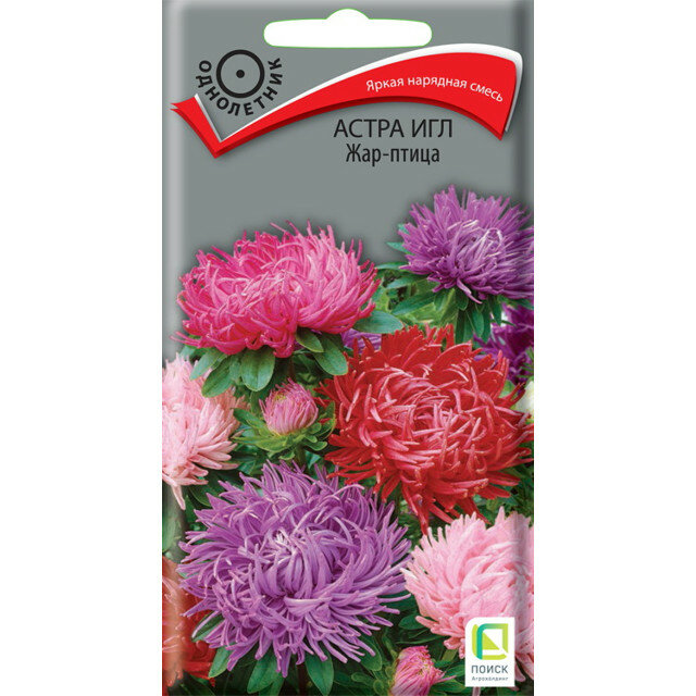 Поиск Астра игл Жар-птица - семена 0,3г, выращивание и уход, декоративное цветение