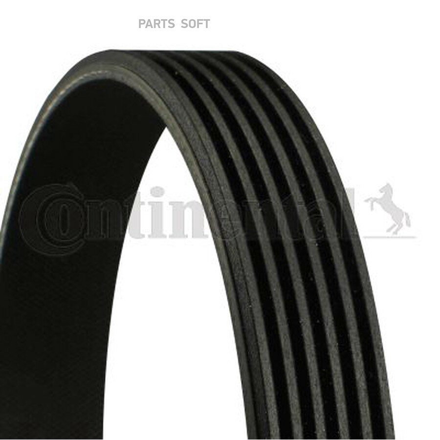6PK2280 CONTINENTAL Ремень поликлиновой /21,36 x 2280-2285mm/