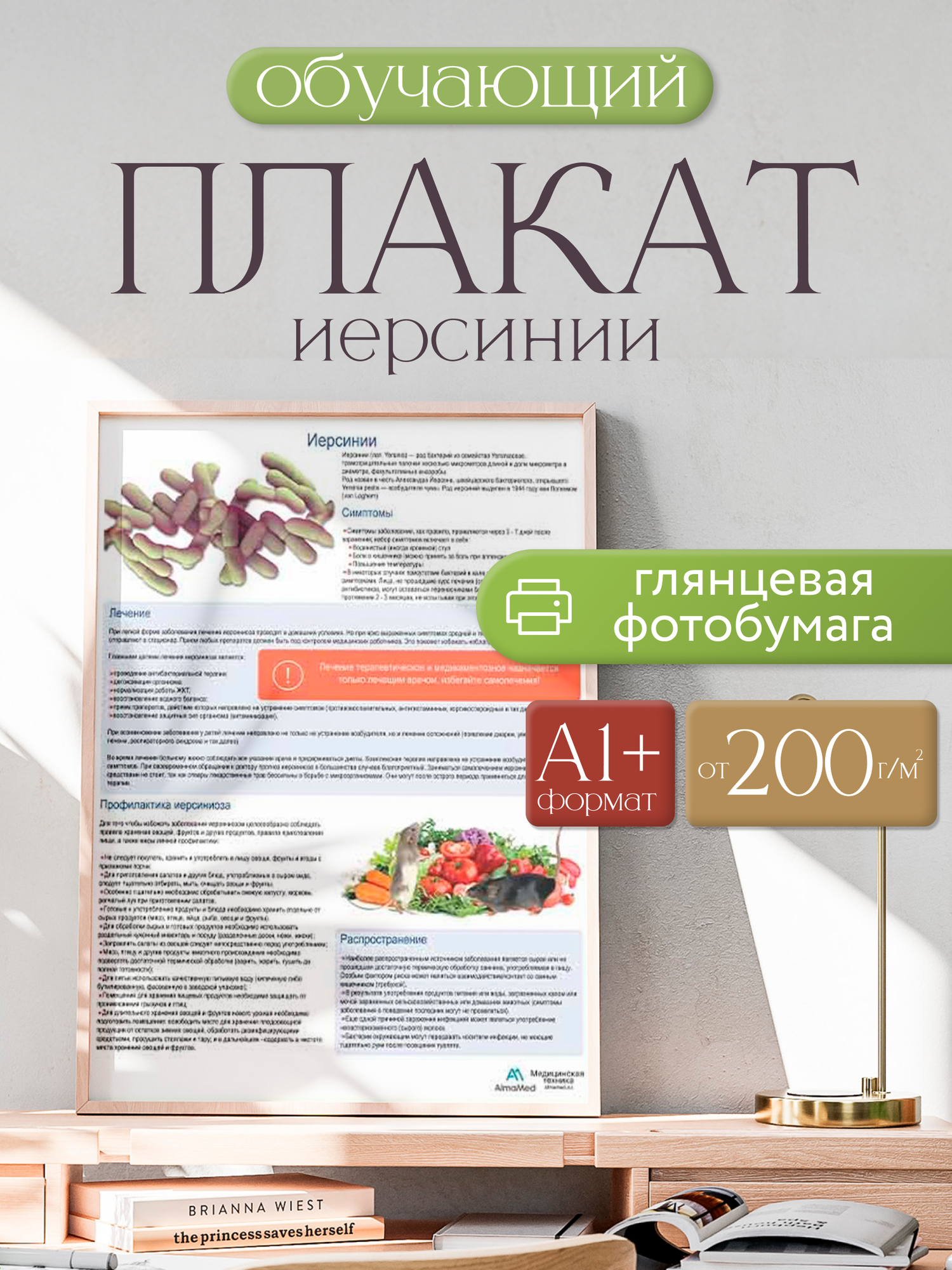 Иерсинии медицинский плакат, глянцевая фотобумага от 200 г/кв. м, размер A1+