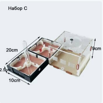 Муравьиная ферма Плоское гнездо C пакет