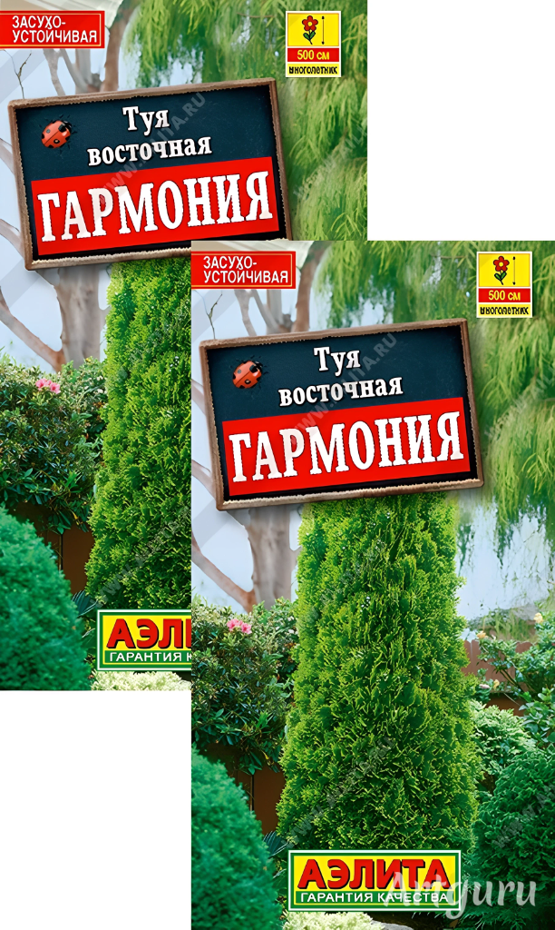 Семена Туя восточная Гармония (8 семян), 2 пакета, Агрофирма Аэлита