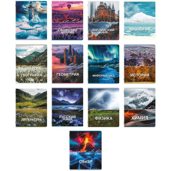 Тетради предметные Brauberg , комплект 13 предметов, 48 л, обложка картон, "классика природа", 405165