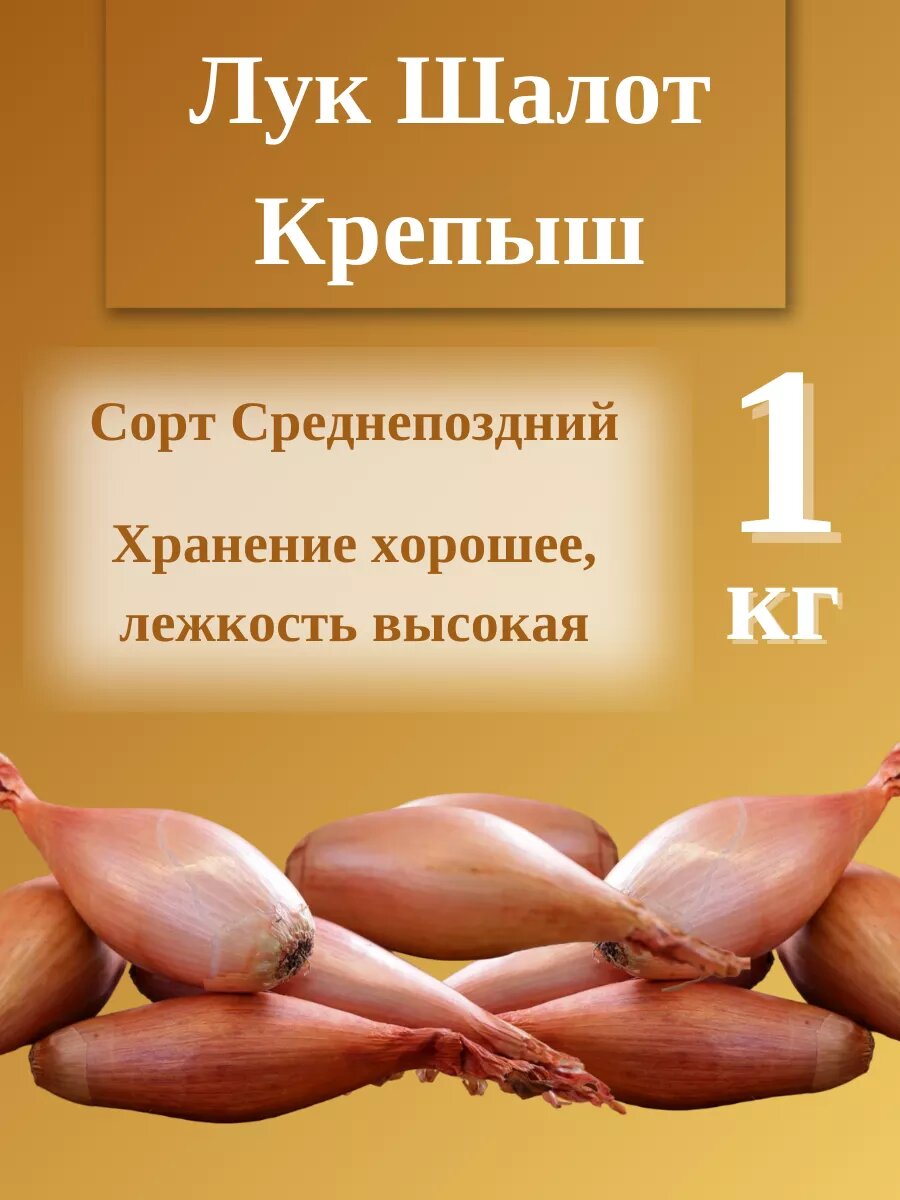 Лук Шалот Крепыш 1кг