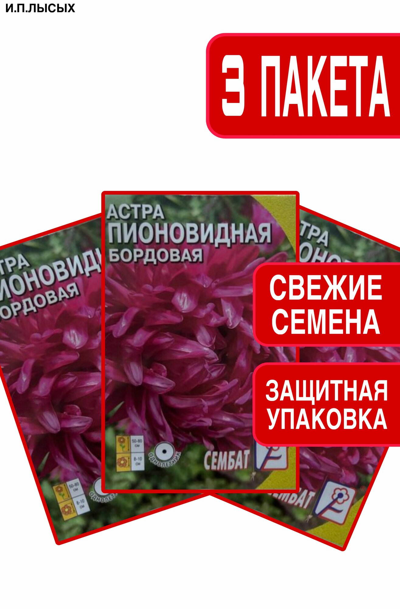 Семена Астра "Пионовидная Бордовая"