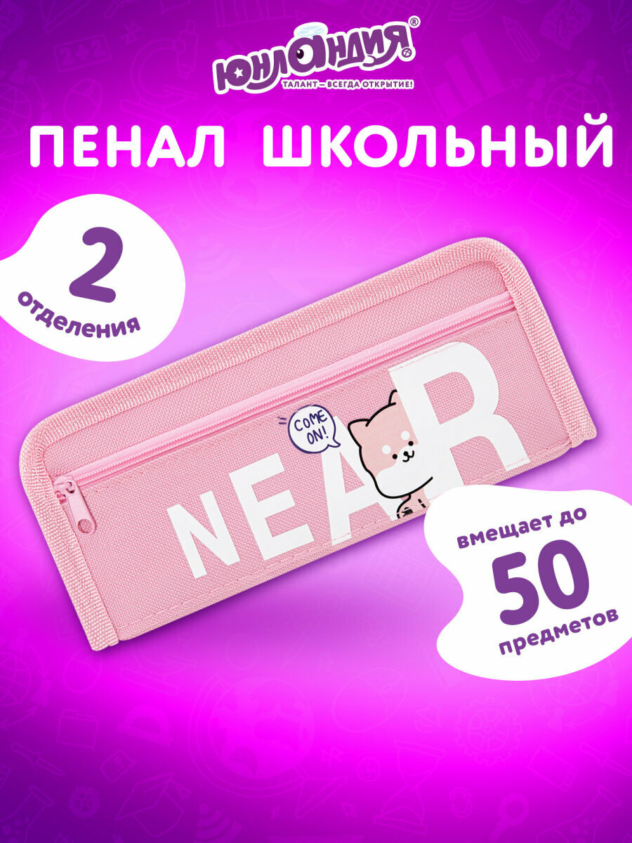 Пенал школьный для девочек, для карандашей и ручек с 2 отделениями, канцелярия для школы, полиэстер, 21х8х6 см, Юнландия, 273811