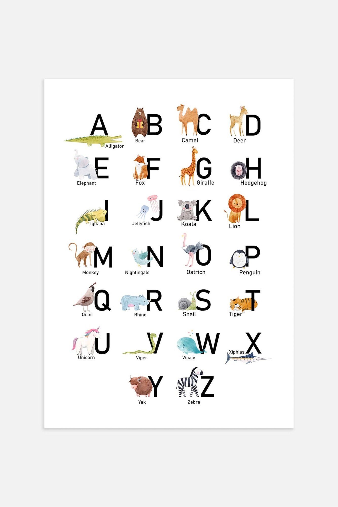 Плакат интерьерный H&M "Животные Азбука", бумажный, размер 30 x 40 см