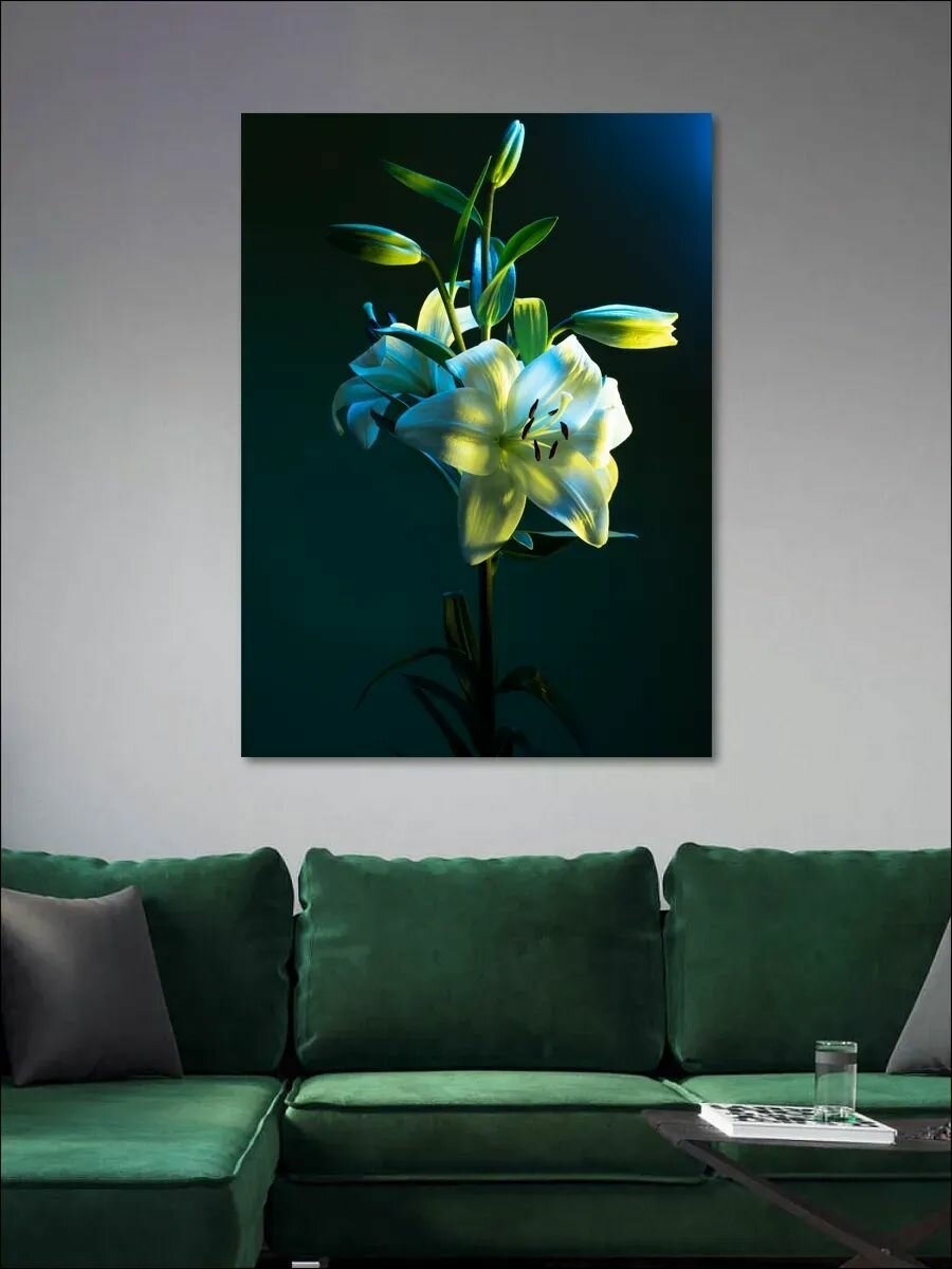 Картина на стену "Гордая лилия" 30х40см 1шт.