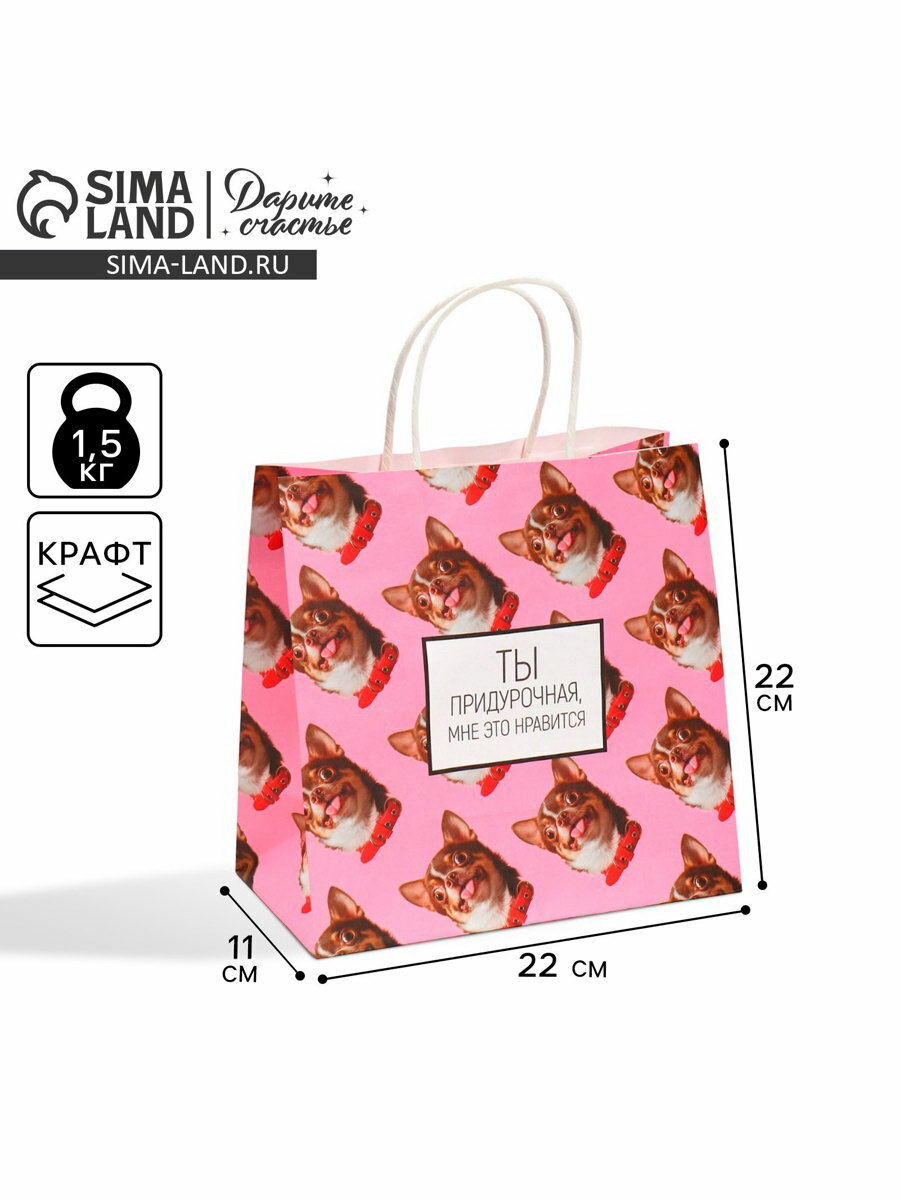 Пакет подарочный, упаковка, "Киса", 22x22x11 см, тематика праздника: 8 марта