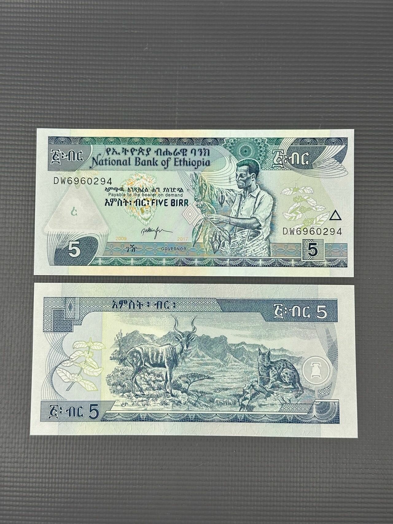 Банкнота Эфиопия 5 бирр быр 2009 (2017) год UNC