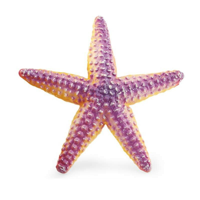 Детские украшения для аквариума пвс морская звезда модель для морских научных проектов пурпурный желтый