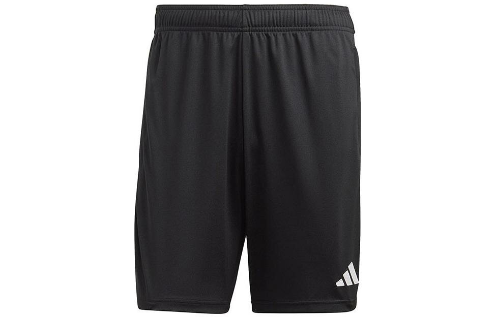 Шорты спортивные