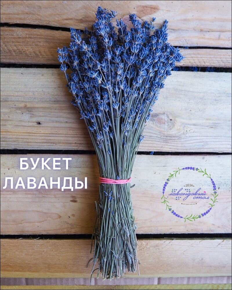 Букет сухоцветов "Лаванда", 25см, 1шт, фиолетово-синие цветы