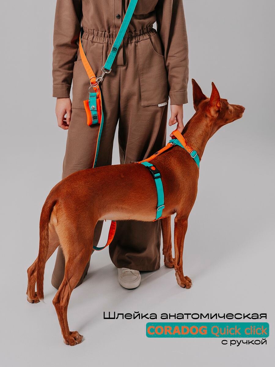 Шлейка с ручкой прогулочная анатомическая для средних и крупных пород собак, CORADOG Quick click, размер M, цвет бирюзовый, оранжевый