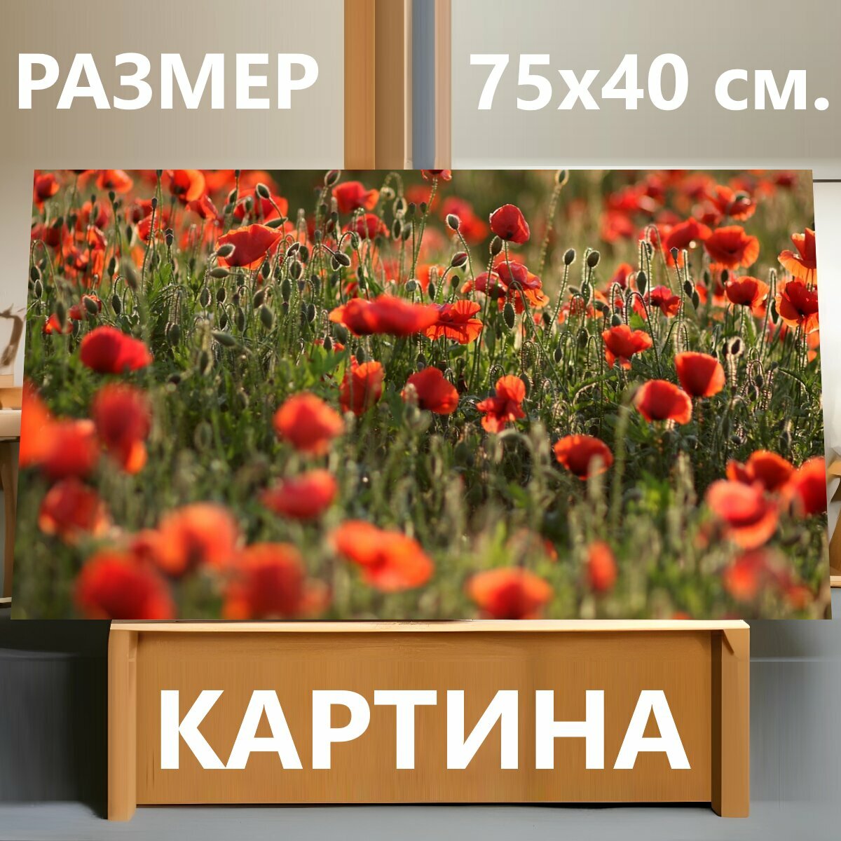 Картина на холсте "Маки, красный, простой" на подрамнике 75х40 см. для интерьера