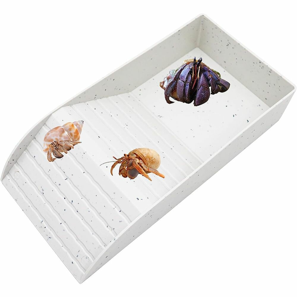 Аквариум для раков-отшельников с пандусом для лазания для мелких и средних раков-отшельников