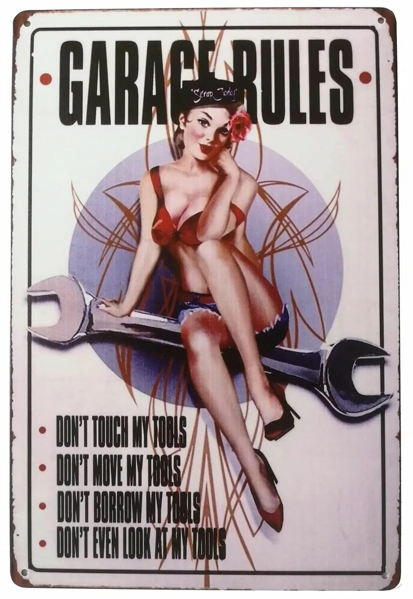 Жестяная табличка в интерьере, 20x30 см, с рисунком Кот, прочная