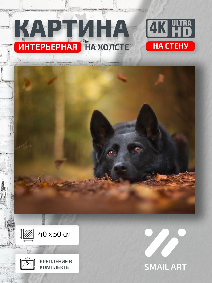 Картина на холсте интерьерная 40 на 50 на стену Листья Animal для спальни animal style