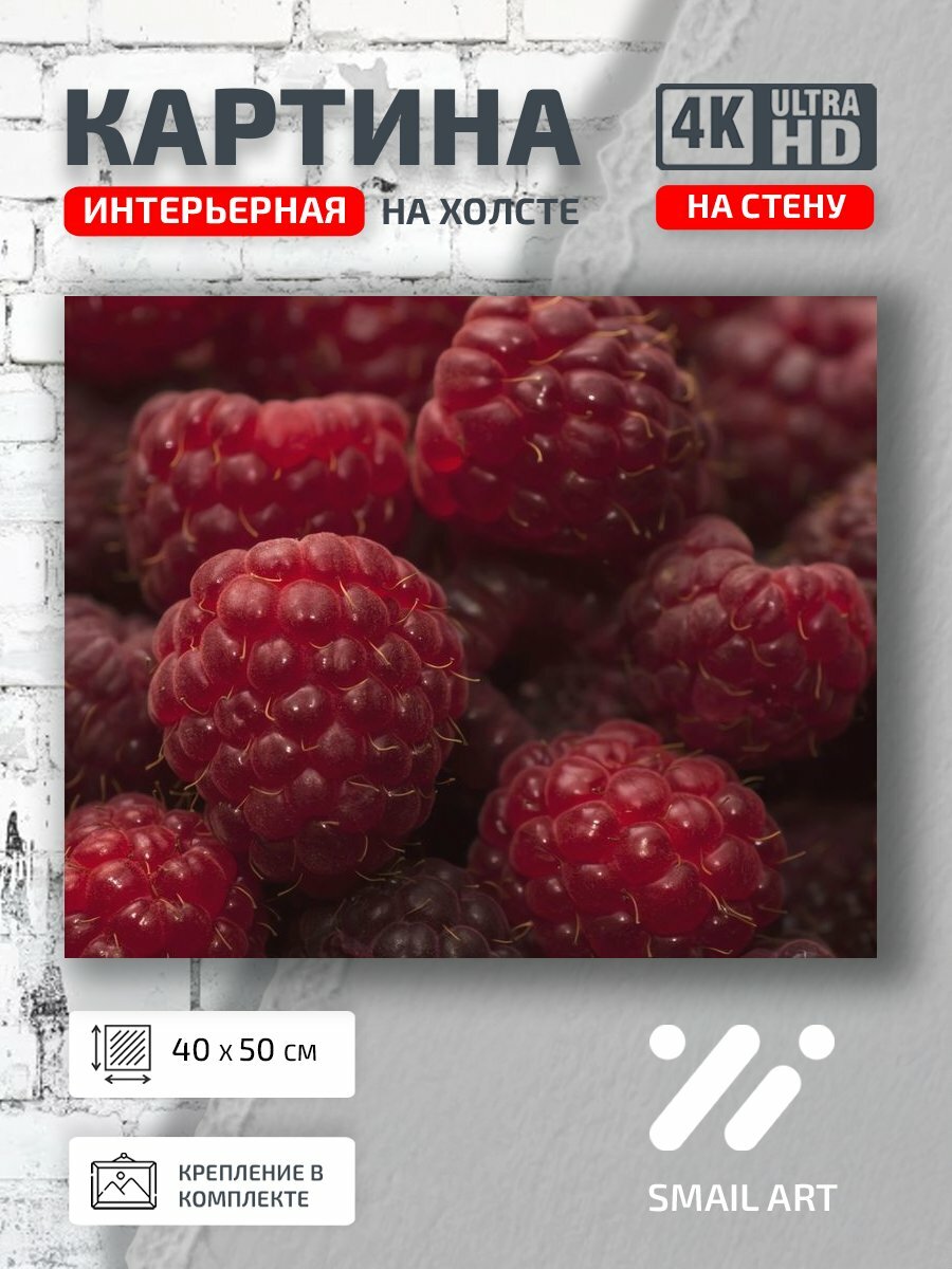Картина на холсте интерьерная 40 на 50 на стену Бордовые Food для кухни кулинария интерьер