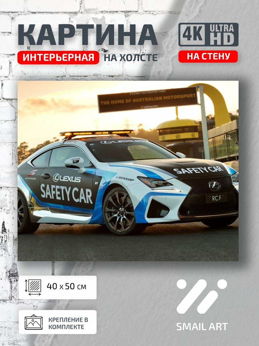 Картина на холсте интерьерная 40 на 50 на стену Полиция Car для киномана авто дизайн декор