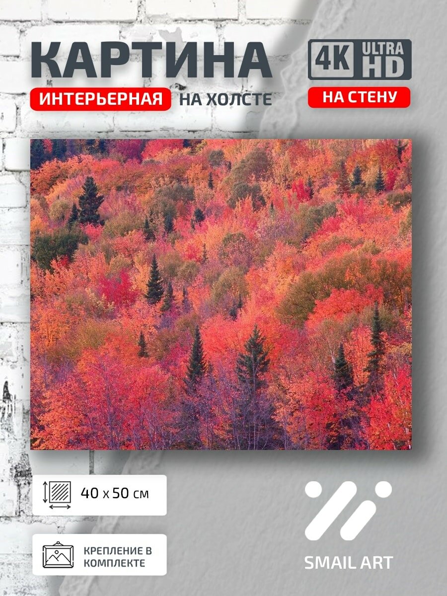 Картина на холсте интерьерная 40 на 50 на стену Осенний лес для кабинета пейзаж