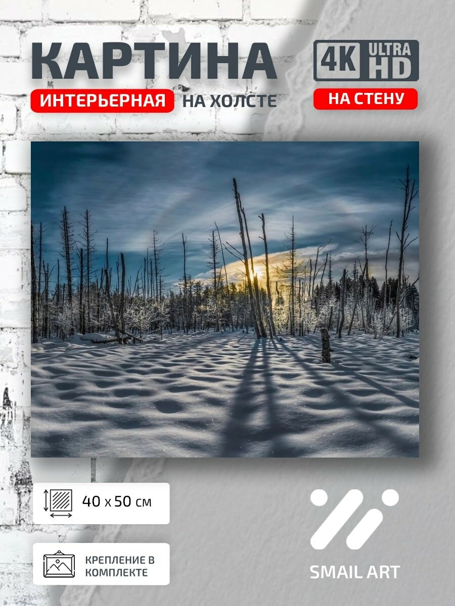 Картина на холсте интерьерная 40 на 50 на стену Зимний лес для гостиной пейзаж