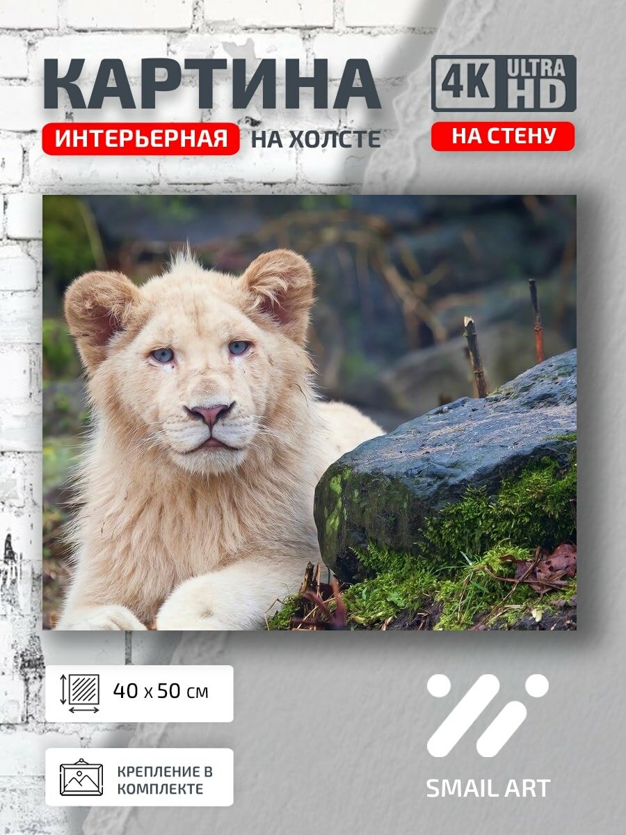 Картина на холсте интерьерная 40 на 50 на стену Животные lion для кафе animal style