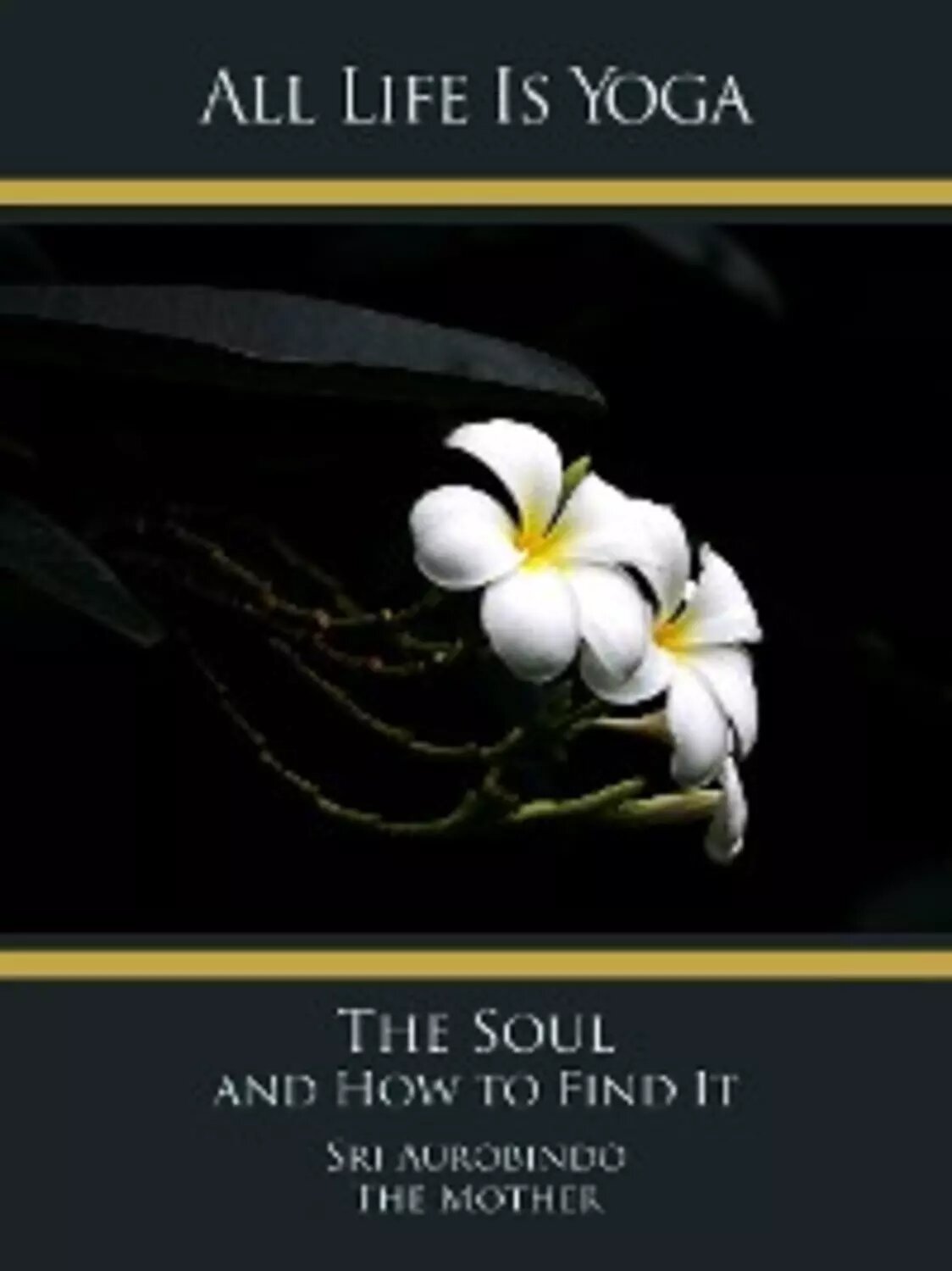 All Life Is Yoga: The Soul and How to Find It [Цифровая книга]